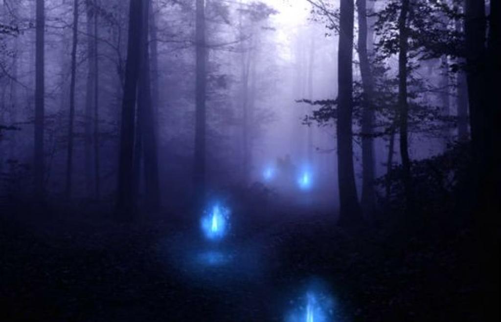 Fuochi fatui: leggenda o realtà? - Online Star Register