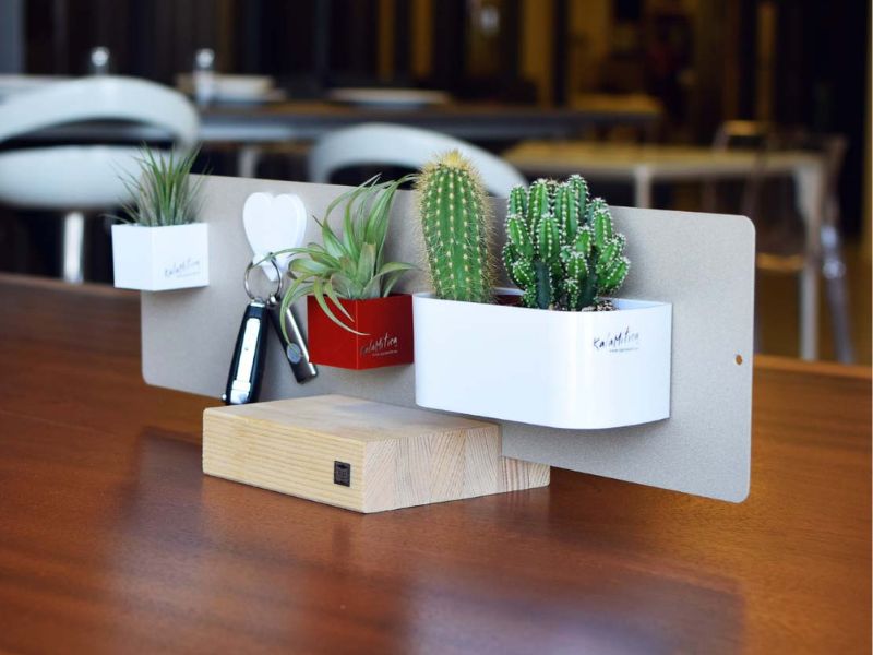 Idee regalo originali: il regalo per ogni occasione