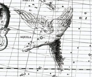 Aquila - Constellation Facts - Online Star Register