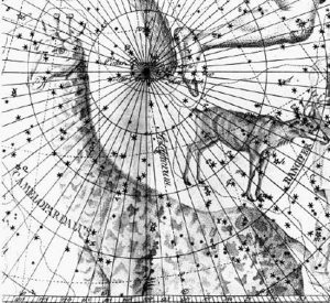 Camelopardalis - Constellation Facts - Online Star Register