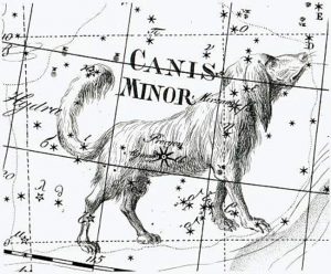 Canis Minor - Constellation Facts - Online Star Register