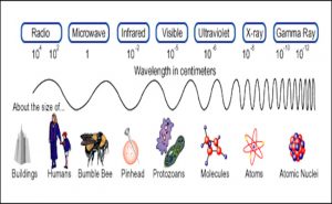 The Colors of Space - Online Star Register