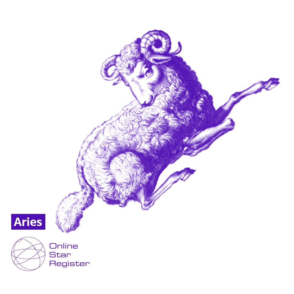 Sterrenbeeld, welke ben jij? - Astronomie - Online Star Register