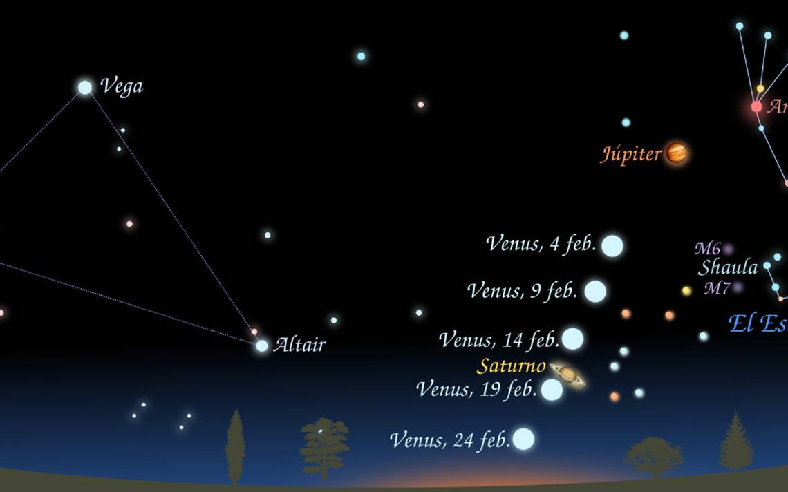 Deneb: la decimonovena estrella más brillante del cielo nocturno ...