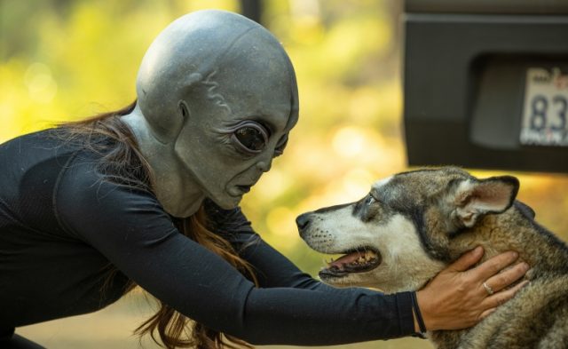 What Might Aliens Look Like? - Online Star Register